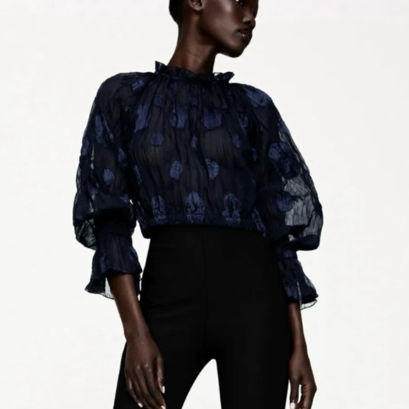 Zara | Tops | Zara Navy Blue Polka Dot Organza Cropped Top | Poshmark
